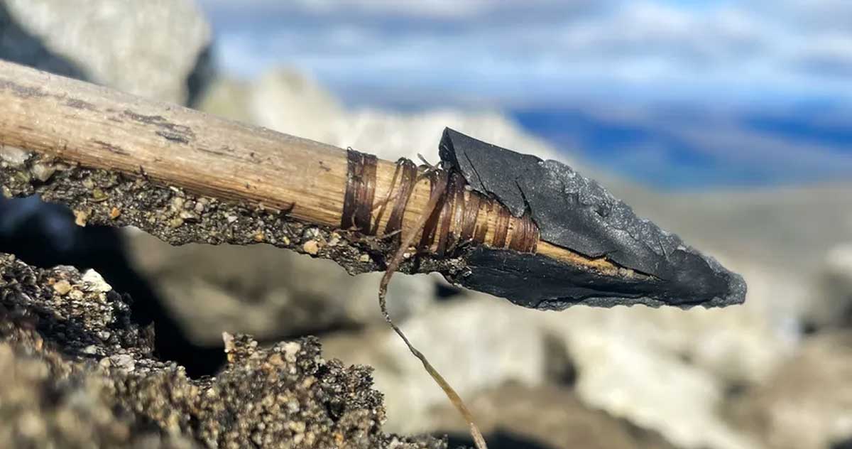 Săgeată din Epoca Bronzului, cu vârf de cuarțit, descoperită după 3.000 ...